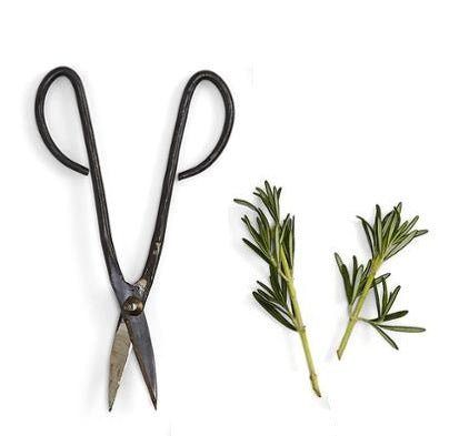 Large Garden Shears – fiddlestix designs